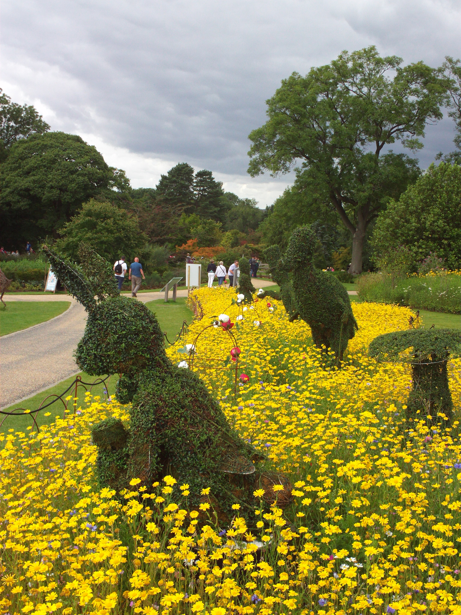 Finding Alice at Harlow Carr – Daisy May Johnson