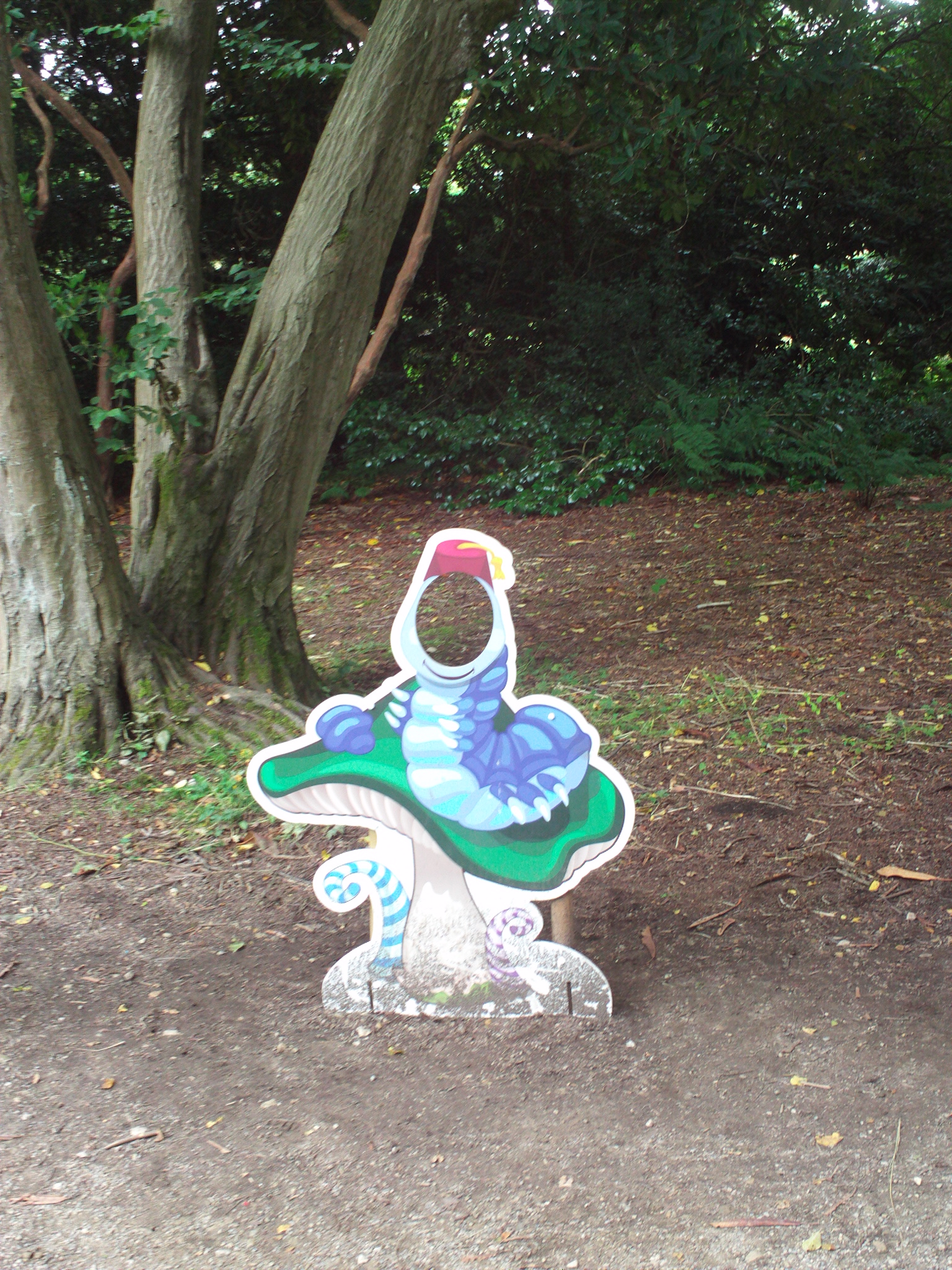 Finding Alice at Harlow Carr – Daisy May Johnson
